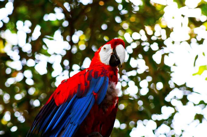 15 Facts About Zoos That You Should Know Before You Visit!