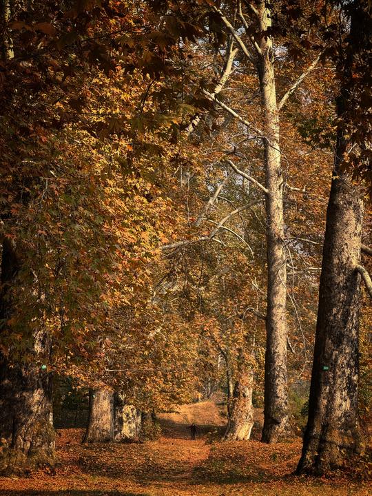 Kashmir Packages from Delhi - Get Upto 40% Off