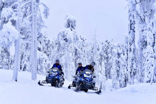 31 Finland Tour Packages | Upto 40% on Finland Trip Packages