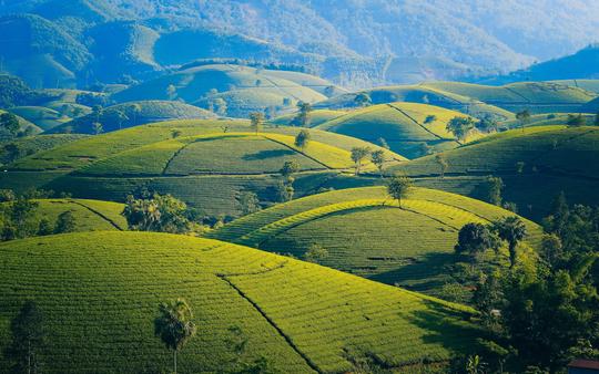 Ooty Packages from Bangalore - Get Upto 40% Off