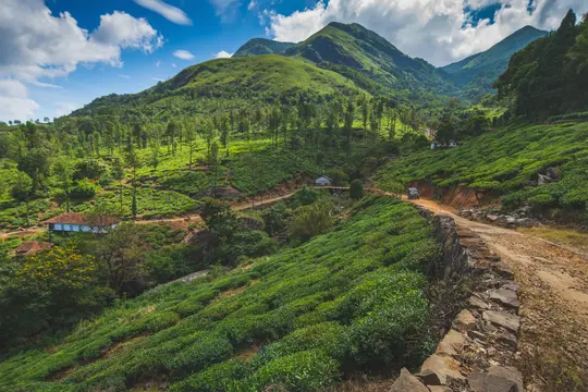 14 Wayanad Tour Packages | Upto 40% on Wayanad Trip Packages
